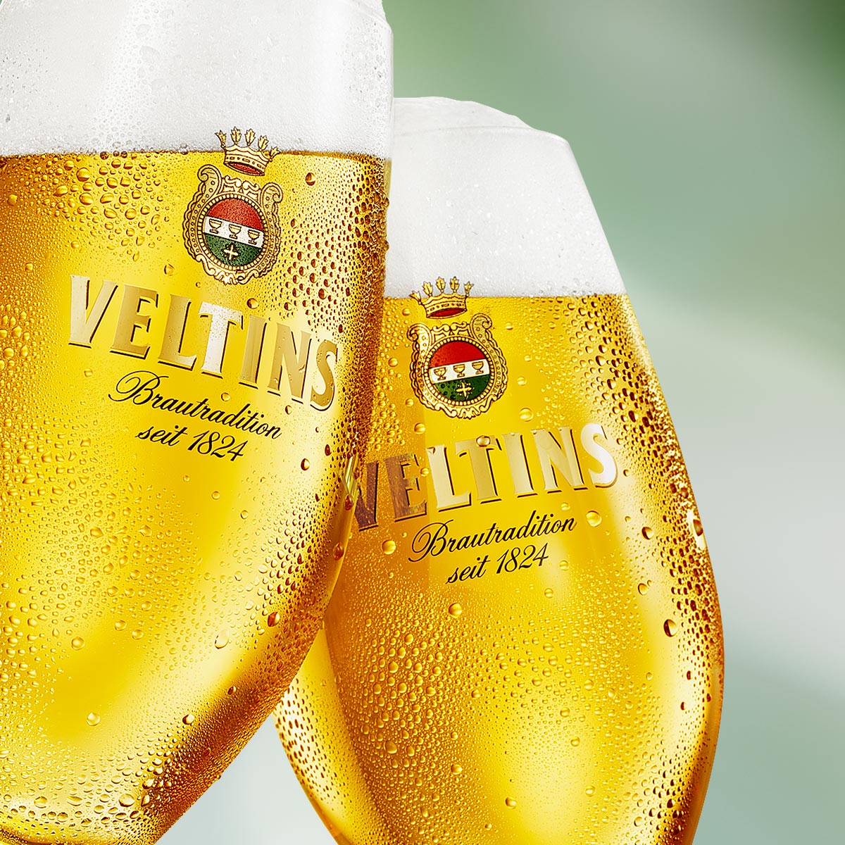 Brewing techniques, ingredients & the German Purity Law - VELTINS